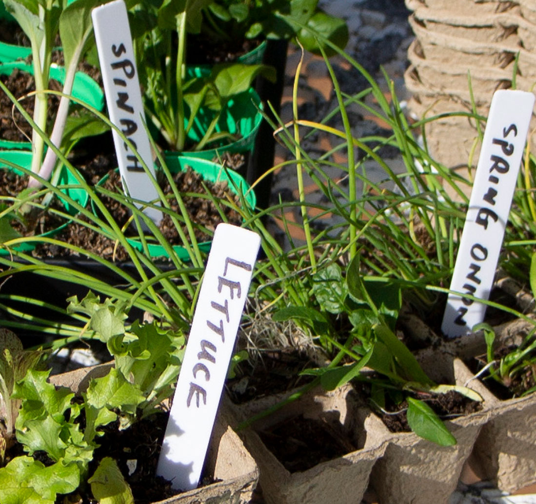 plant labels Archives - Shiploads